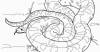 Coloring Pages Titanoboa (29 pcs) - download or print for free #12845