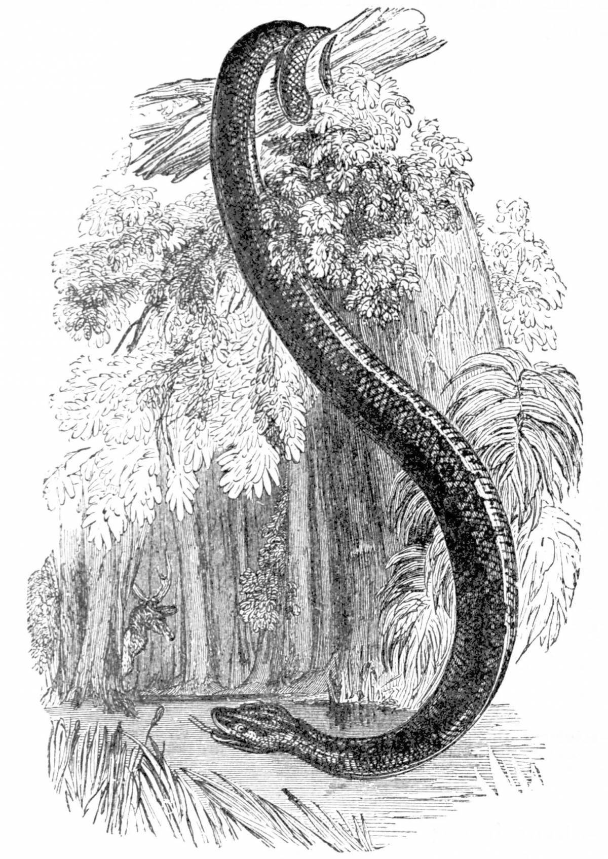 Coloring Pages Titanoboa (29 pcs) - download or print for free #12845