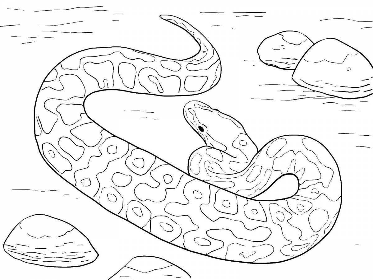 Coloring Pages Titanoboa (29 pcs) - download or print for free #12845