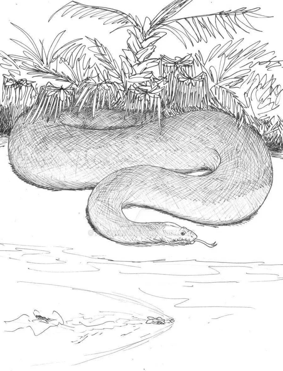 Coloring Pages Titanoboa (29 pcs) - download or print for free #12845