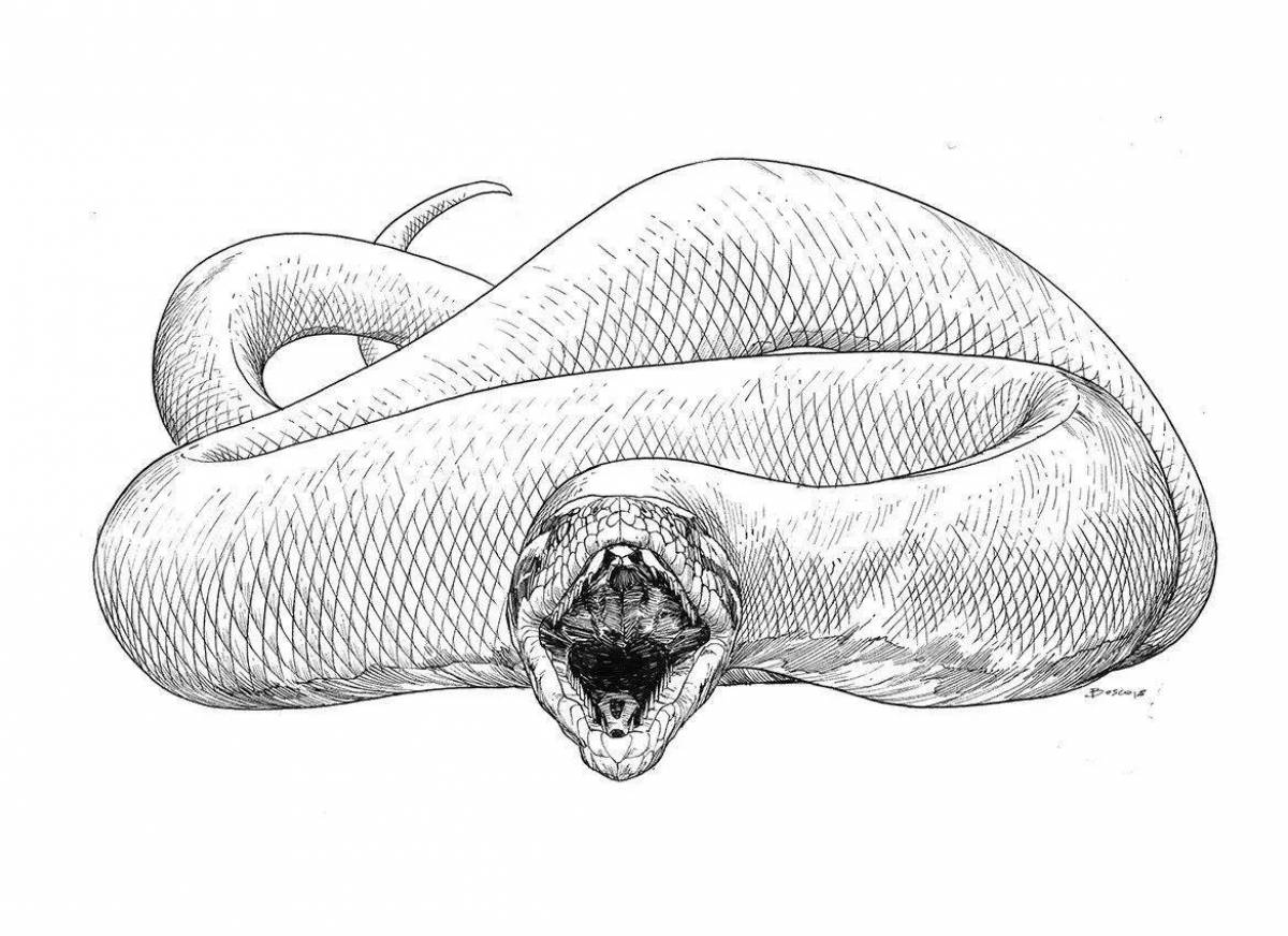 Coloring Pages Titanoboa (29 pcs) - download or print for free #12845