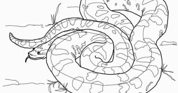 Coloring Pages Titanoboa (29 pcs) - download or print for free #12845
