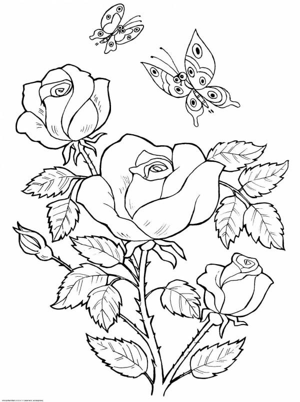 Coloring Pages Beautiful flowers for girls (37 pcs) - download or print ...