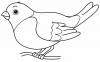 Coloring Pages Bullfinch pattern for kids (38 pcs) - download or print ...