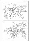 Coloring Pages Half sheet (39 pcs) - download or print for free #24566