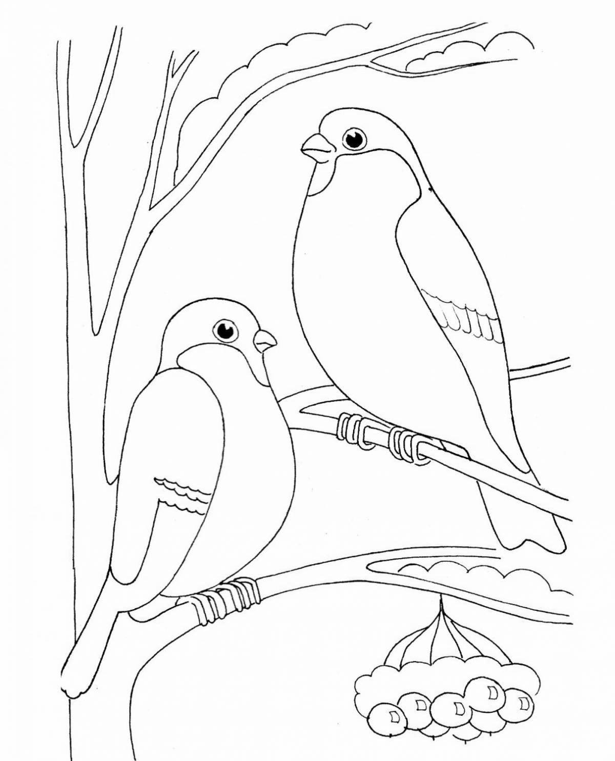 Coloring Pages Bullfinch on a rowan branch with plasticine (29 pcs ...