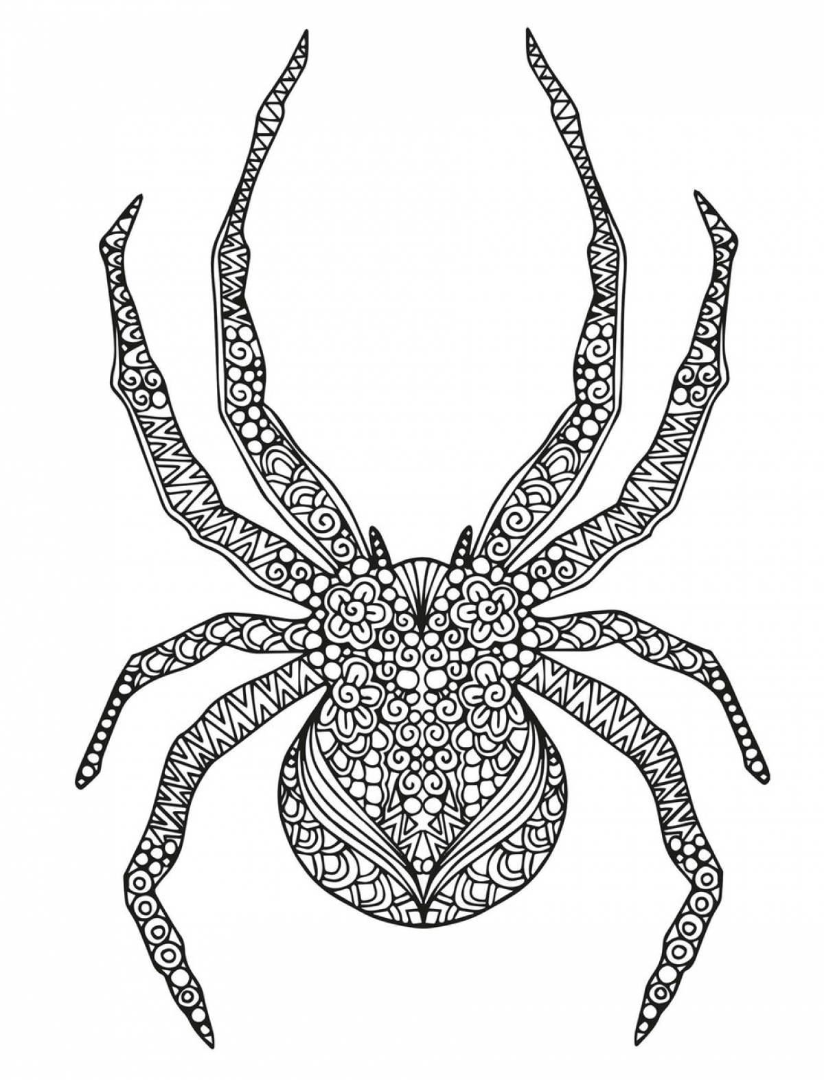 Coloring Pages Antistress spider (37 pcs) - download or print for free ...
