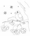 Coloring Pages Bullfinch on rowan branch for kids templates (38 pcs ...