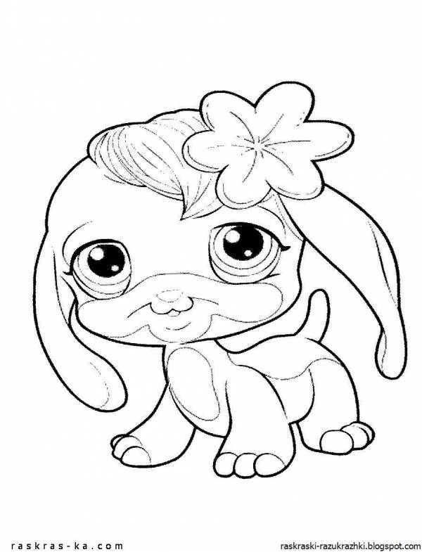 Coloring Pages For girls animals cute (36 pcs) - download or print for ...