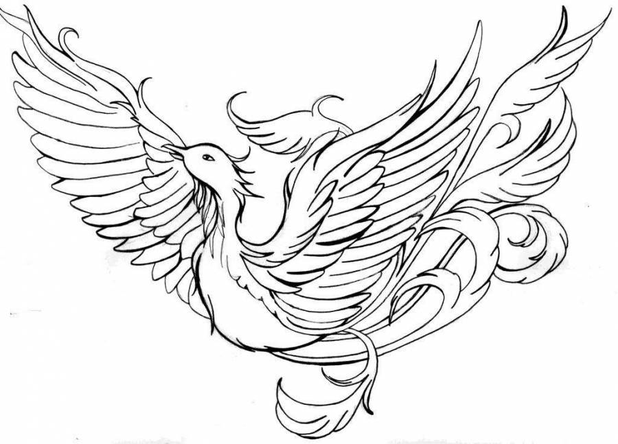 Coloring Pages Fire bird for kids (38 pcs) - download or print for free ...