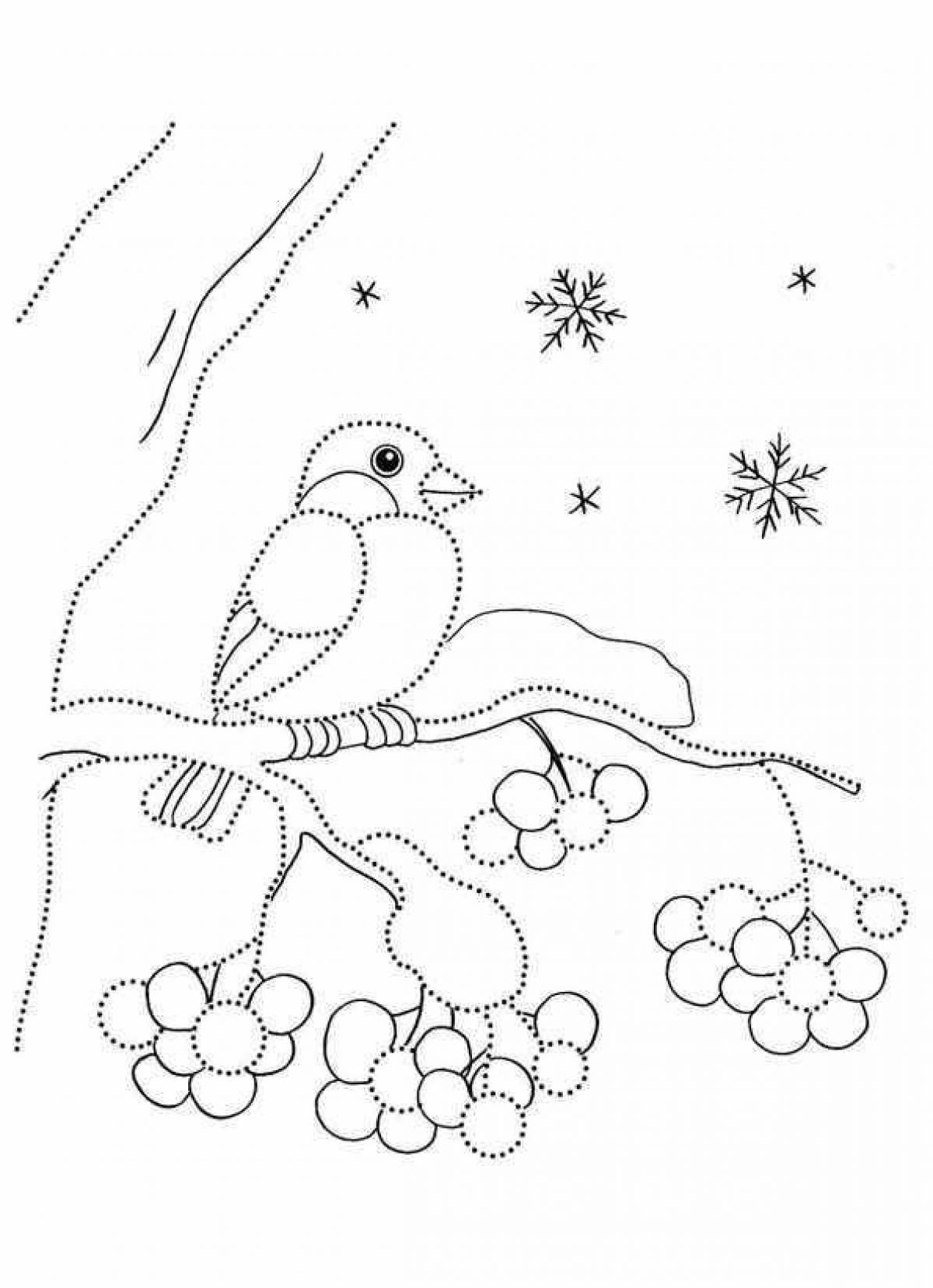 Coloring Pages Bullfinch on a rowan branch for children (28 pcs ...
