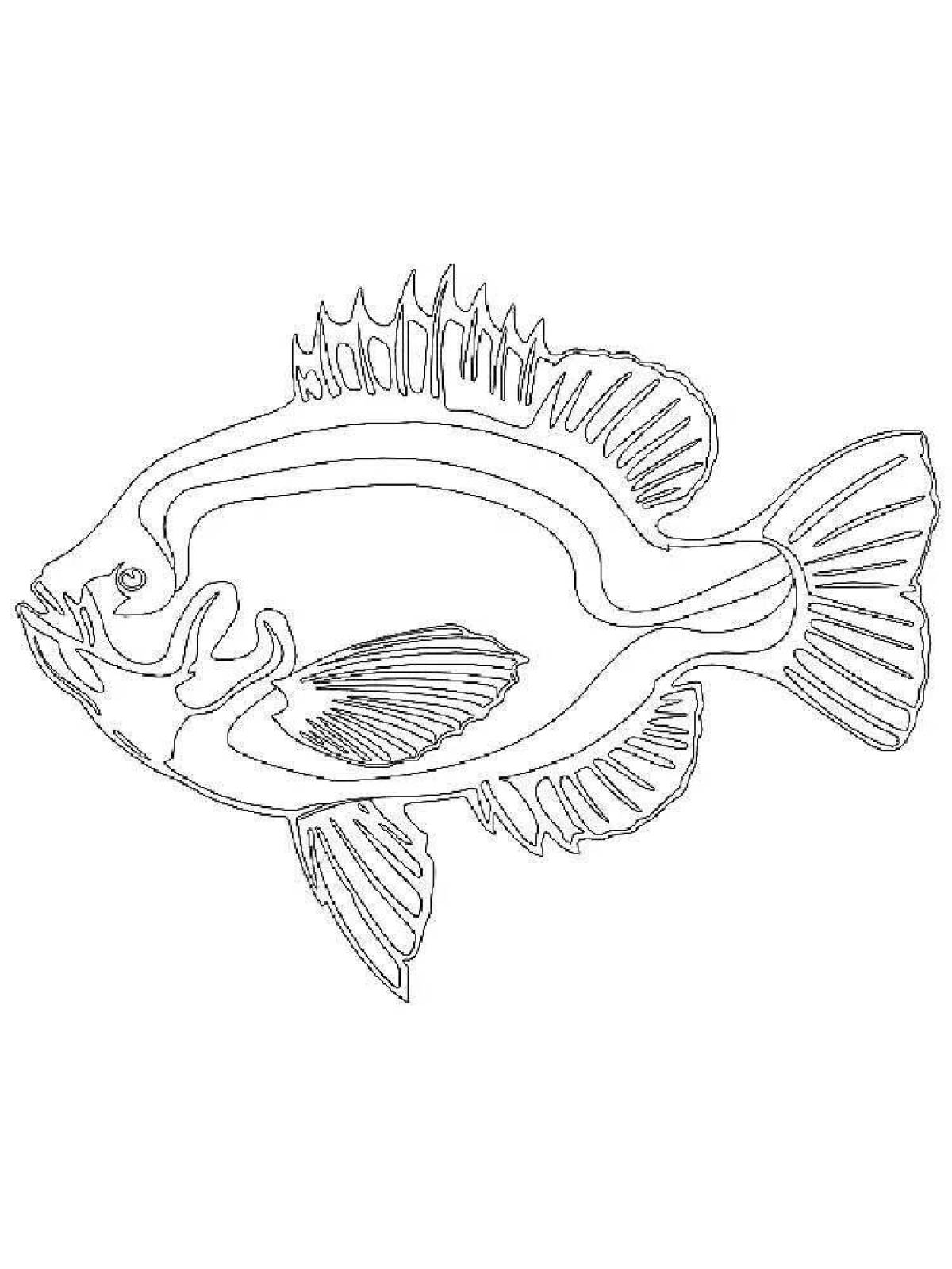 Раскраски Для Детей Ерш - 70 фото