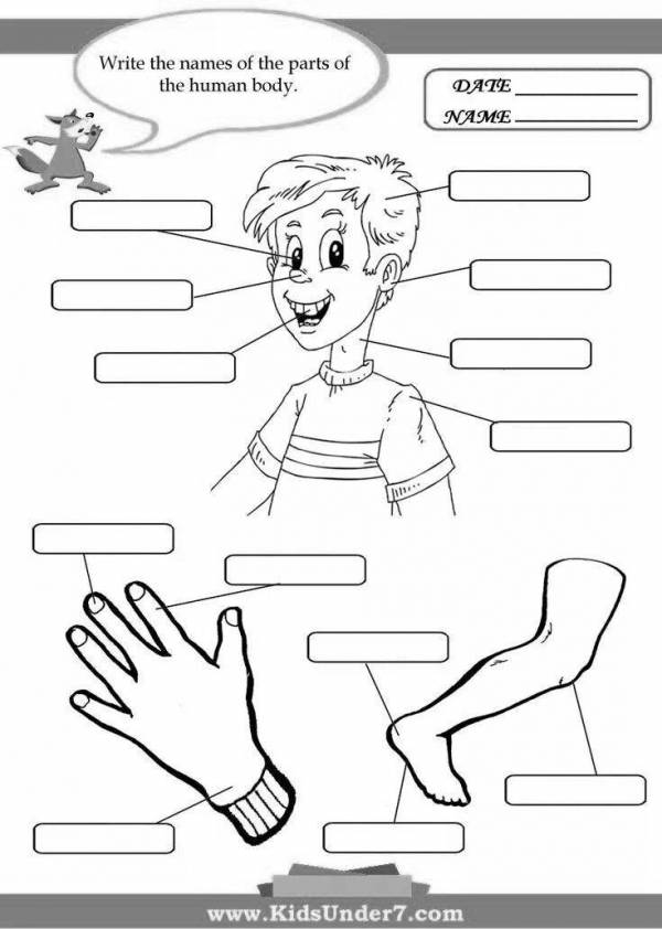 Coloring Pages For children body parts in English (29 pcs) - download ...