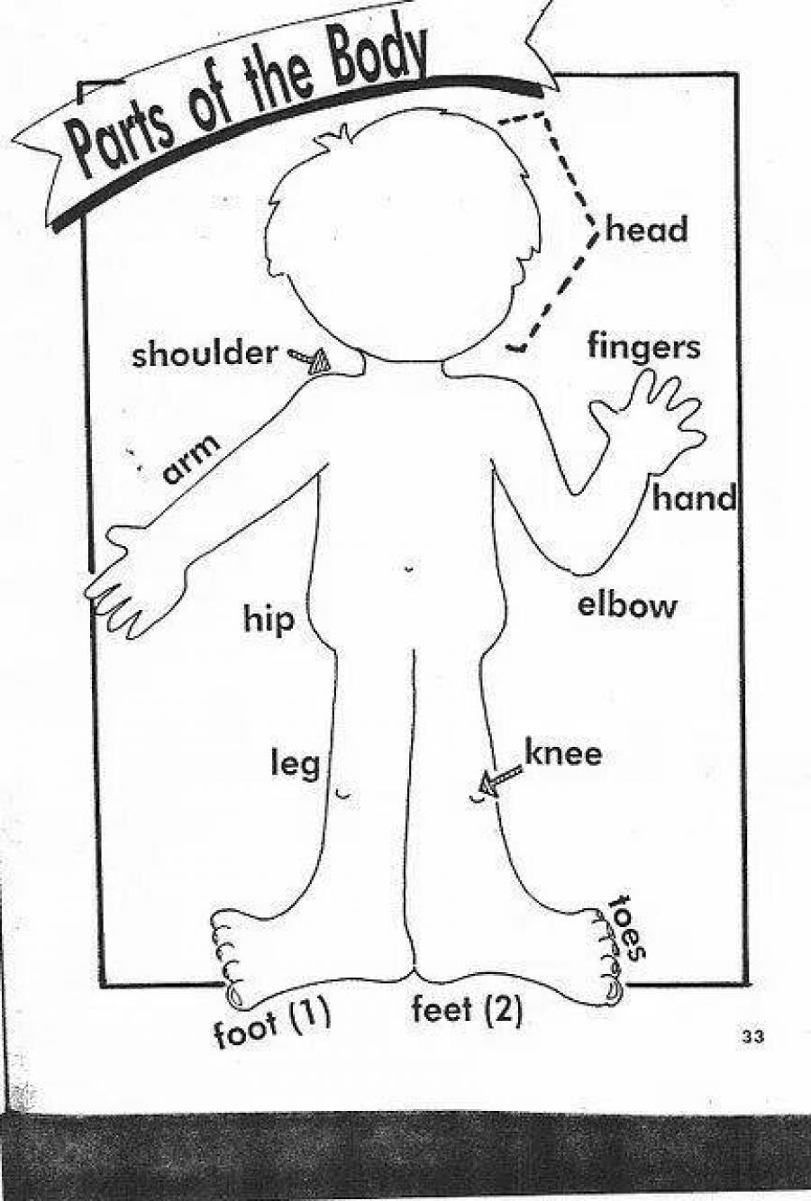 Coloring Pages For children body parts in English (29 pcs) - download ...