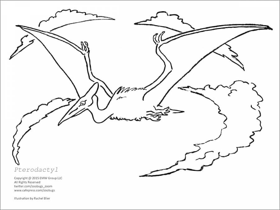 Раскраски птеродактиль: 124 раскраски - скачать или распечатать бесплатно