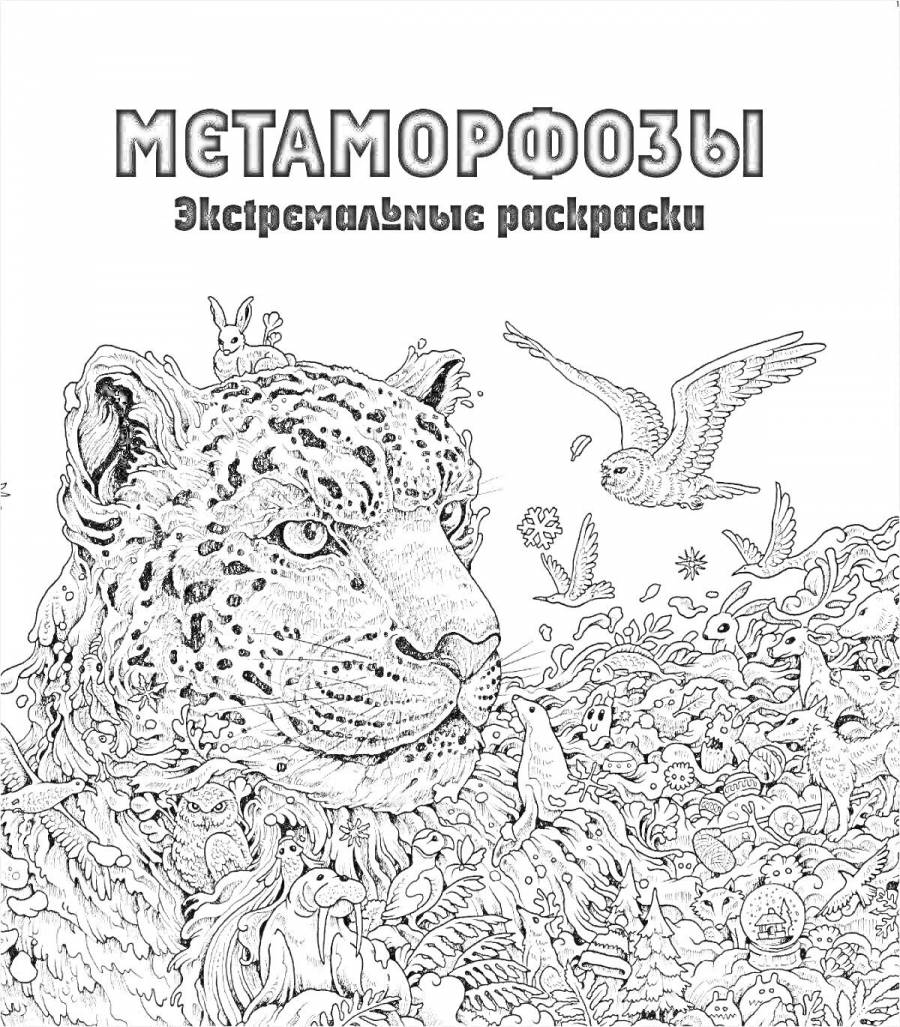 Раскраски экстремальные: 15 раскрасок - скачать или распечатать бесплатно
