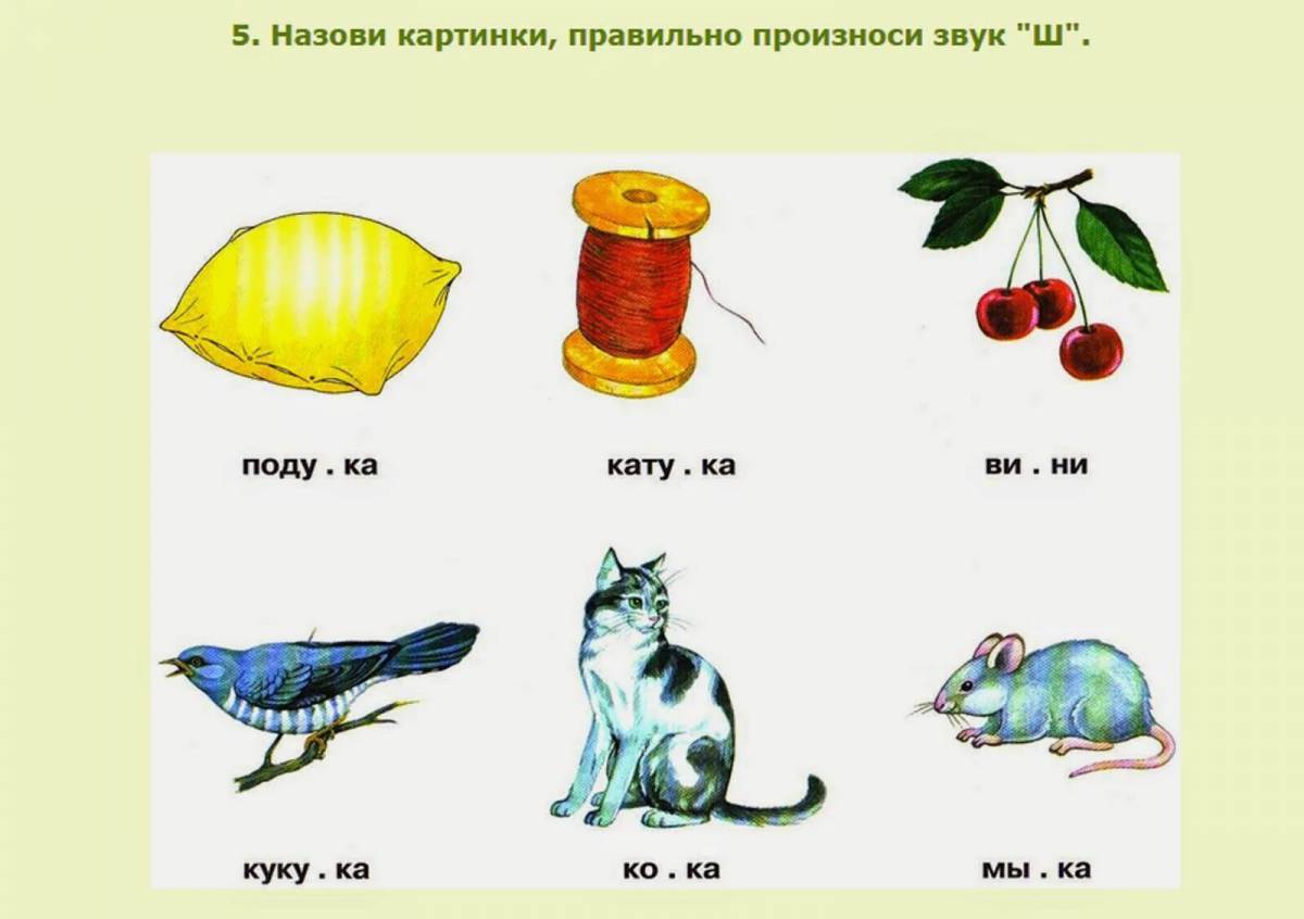 Картинки На звук ш по логопедии (39 шт.) - #14842