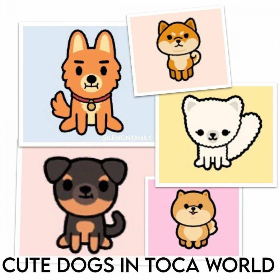 Картинки Животные тока бока (38 шт.) - #2561