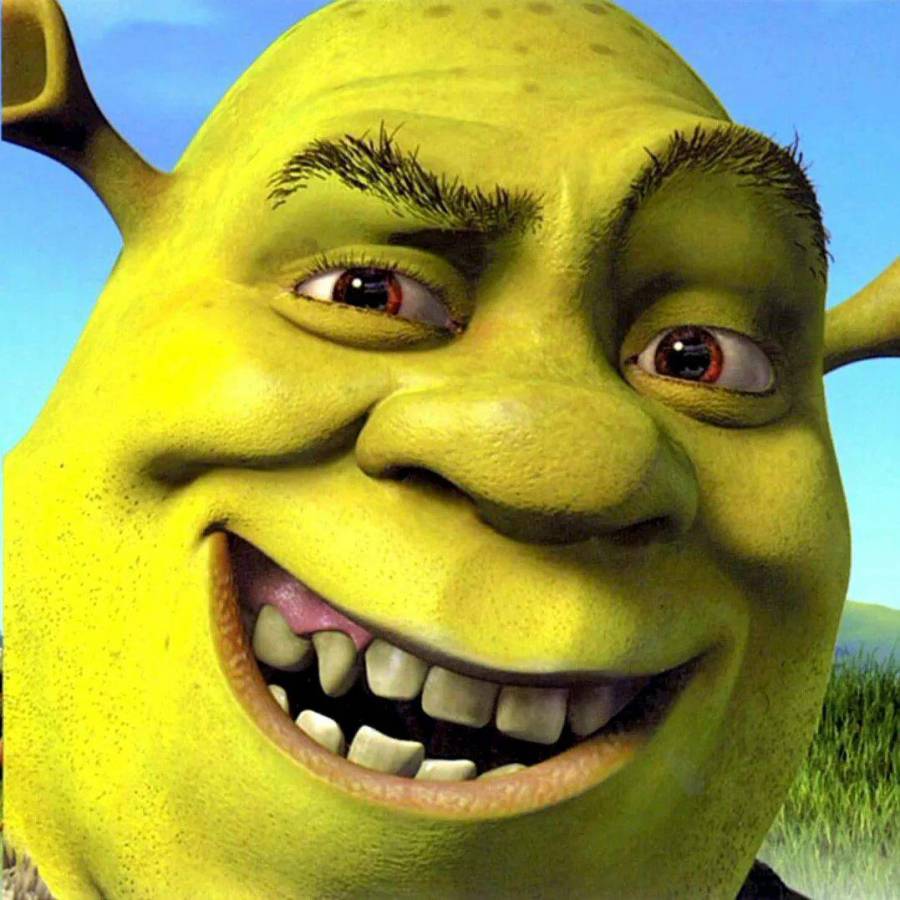 Картинки Мем шрек (39 шт.) - #13477